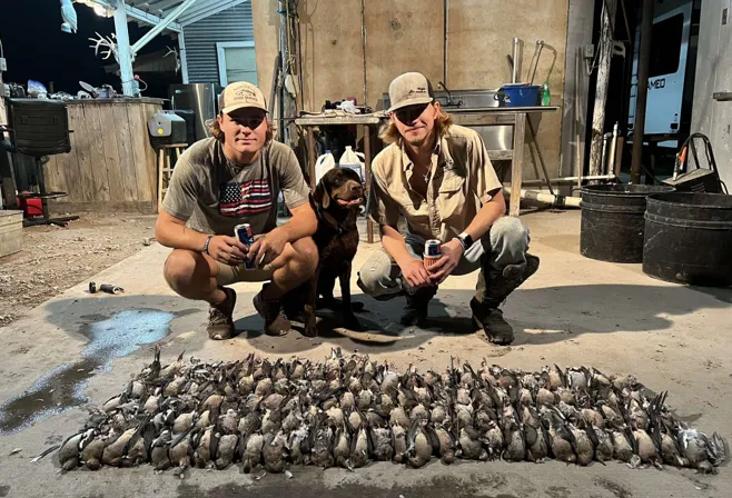 South Texas Dove Hunts – Group & Day Hunts | 4 Bar C Outdoors