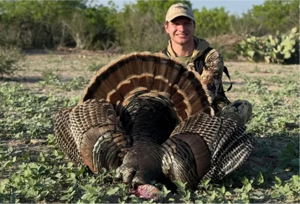 South Texas Turkey Hunts – Rio Grande Spring Hunts | 4 Bar C Outdoors